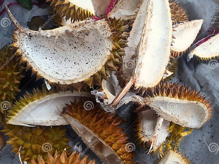 Close-up of Durian Stinky Fruit S Skins Stock Photo - Image of farming ... Close-up of Durian Stinky Fruit S Skins Stock Photo - Image of farming ...