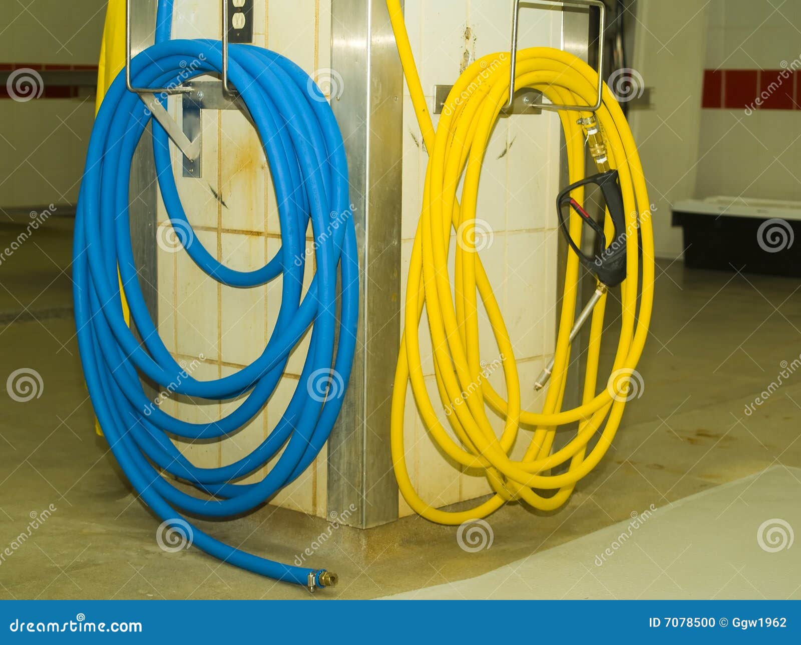 Food Plant Hoses stock photo. Image of risk, blue, germs - 7078500