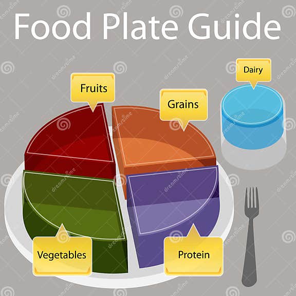 Food Plate Guide stock vector. Illustration of nutritional - 19750212