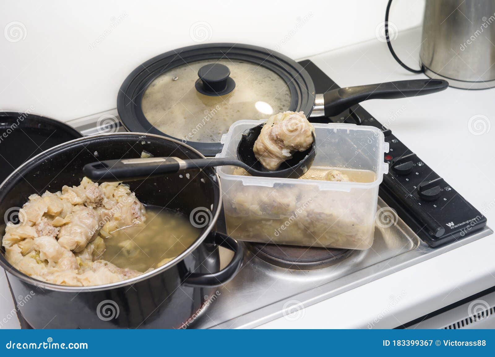 Food Portion in a Plastic Container Stock Image - Image of meal, lunch ...