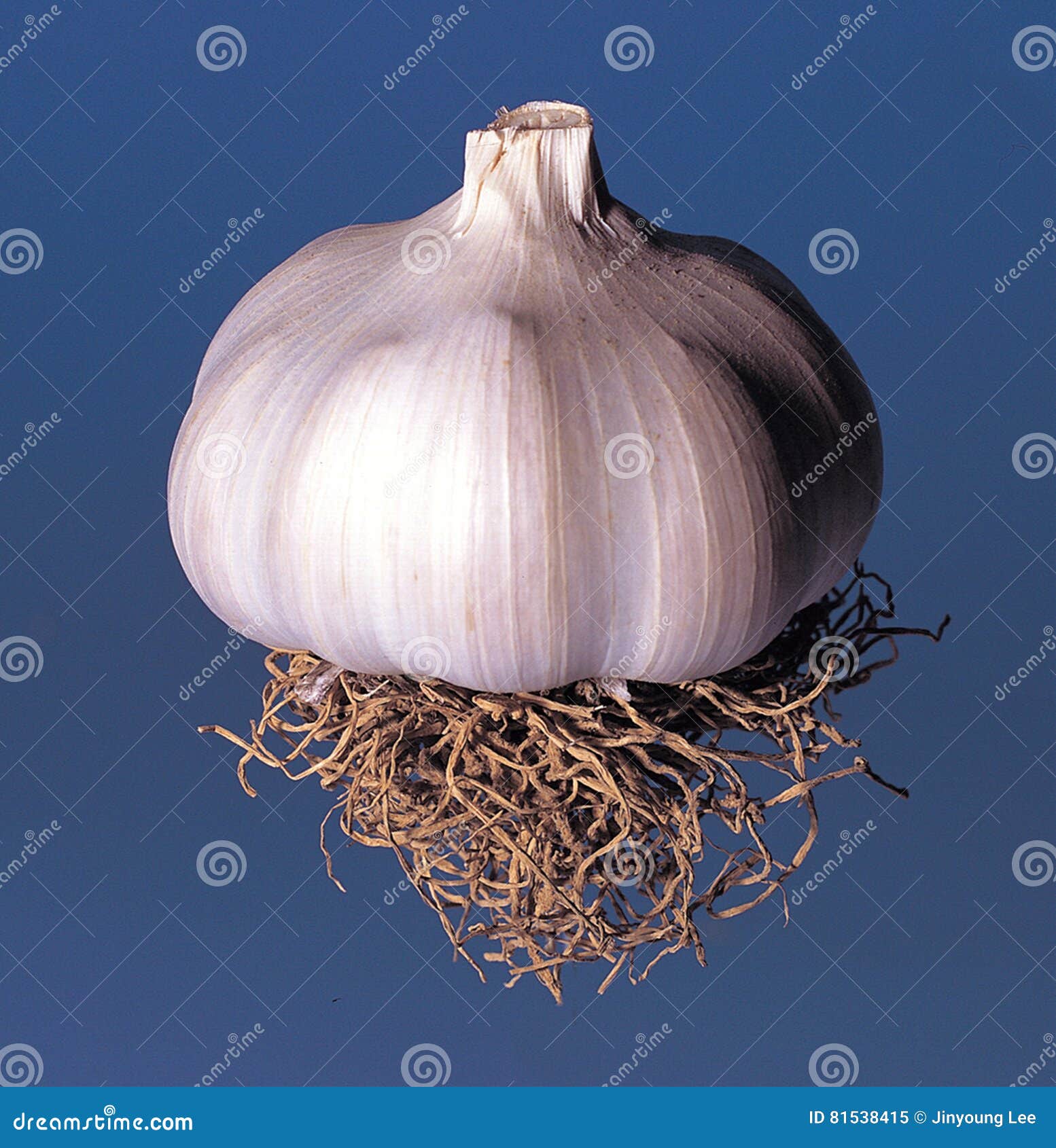 Food stock image. Image of ingredient, prepackaged, vegetable - 81538415