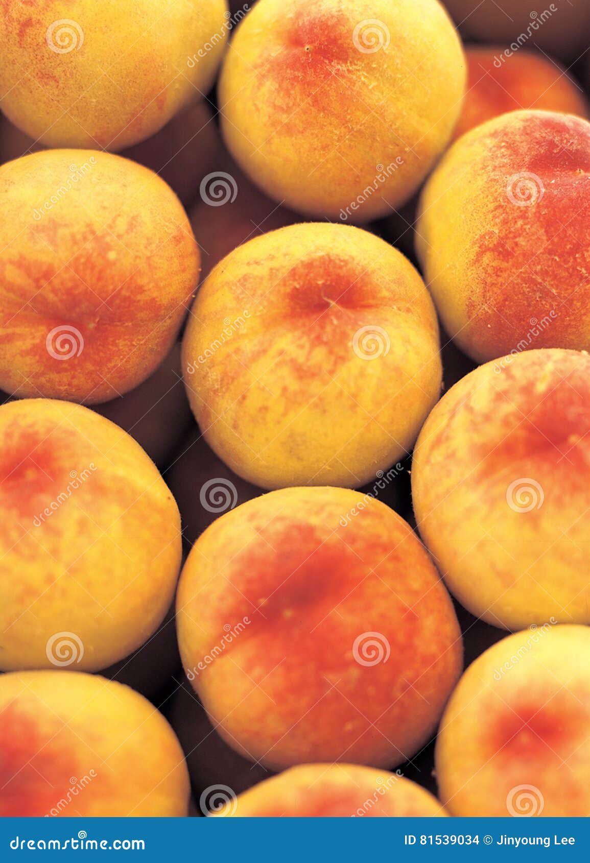 Food stock photo. Image of prepackaged, food, indoors - 81539034