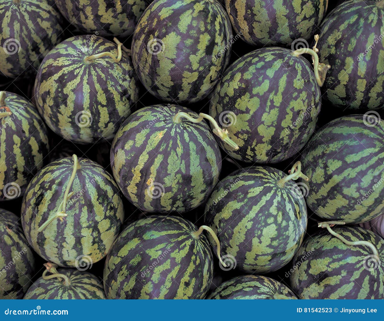 Food stock image. Image of gourd, watermelon, prepackaged - 81542523