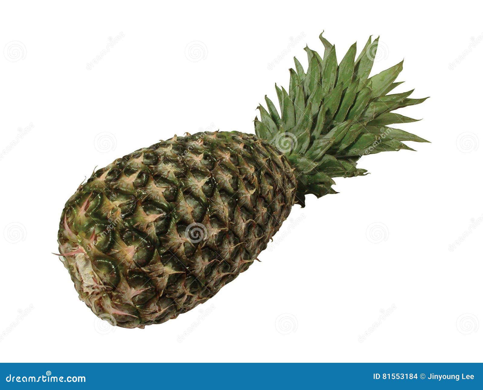 Food stock photo. Image of prepackaged, fruit, ingredient - 81553184