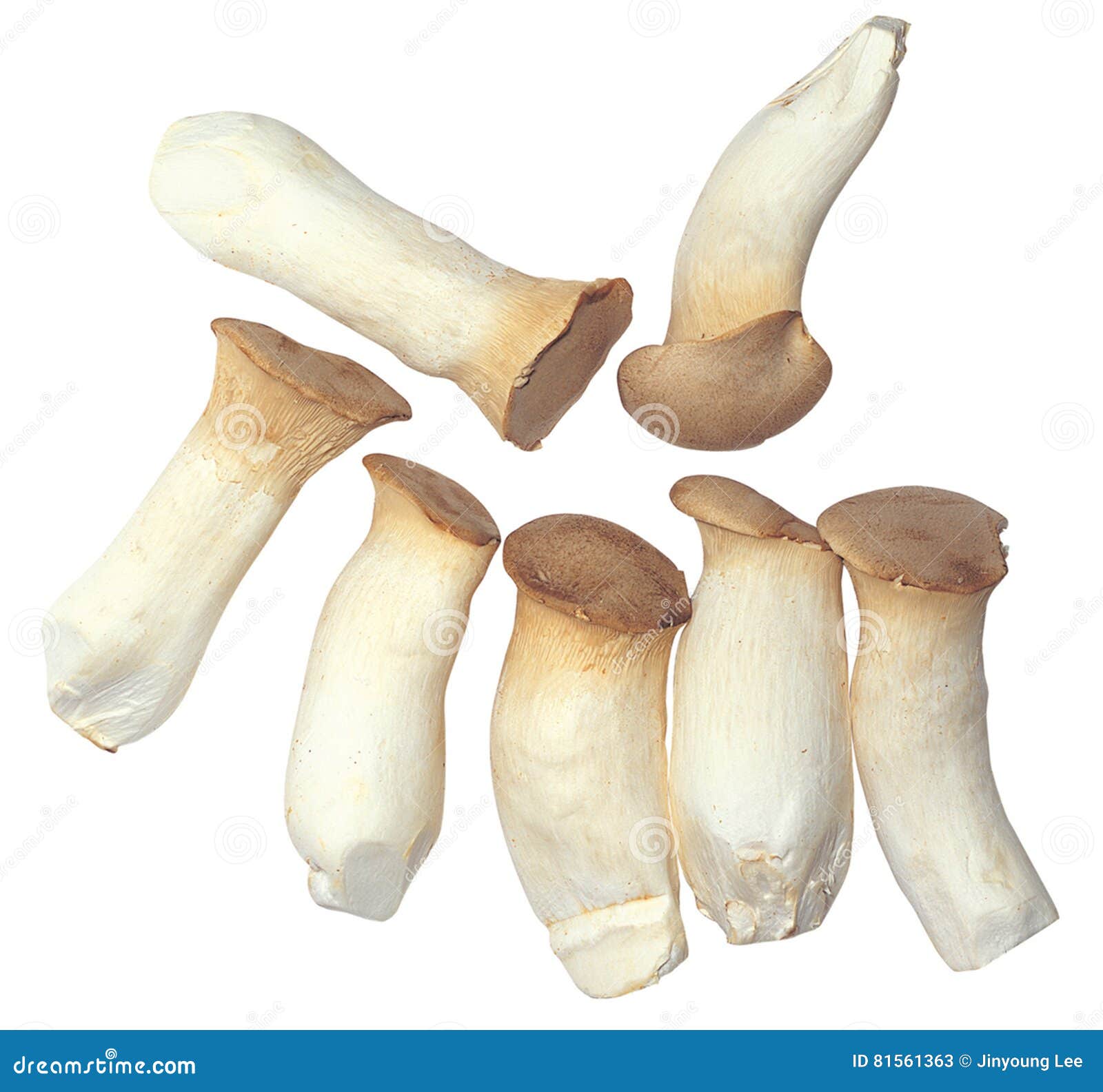 Food stock image. Image of cepe, material, group, vegetable - 81561363