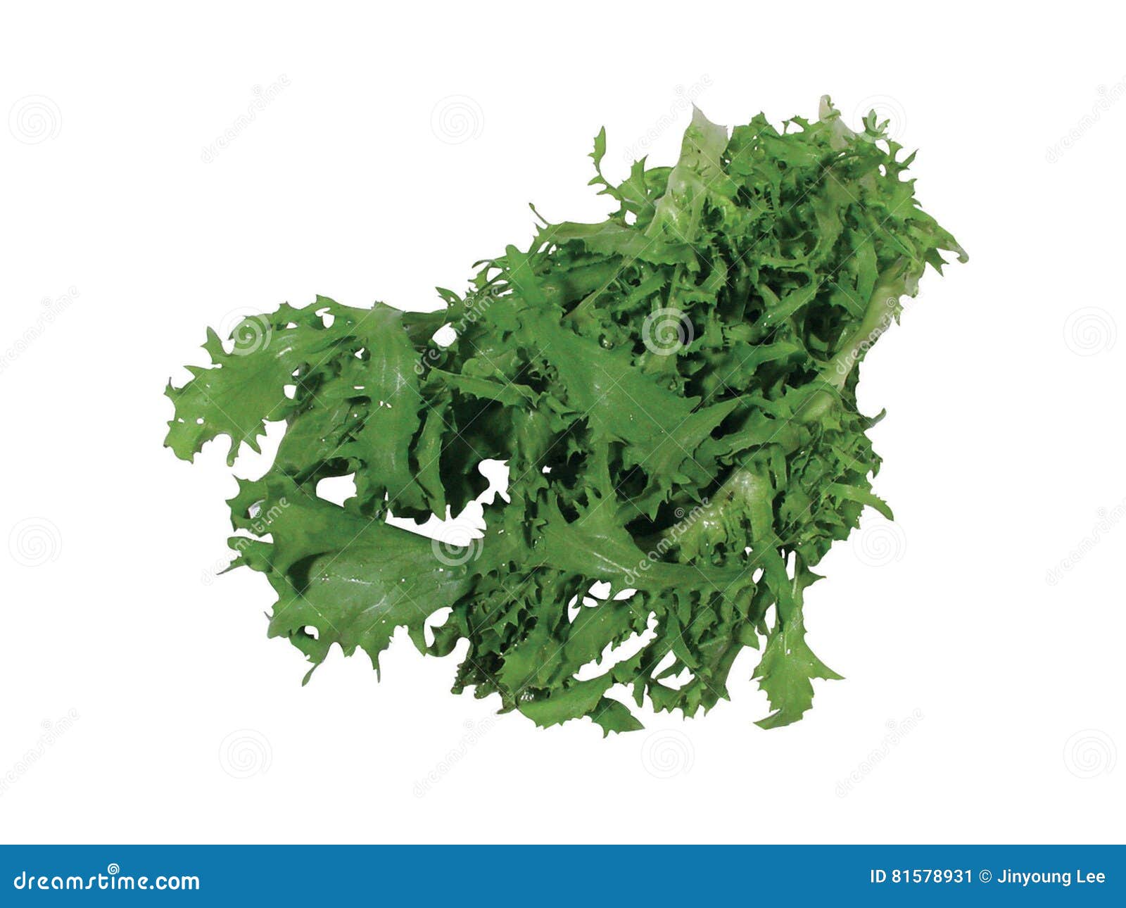 Food stock image. Image of ingredient, leaf, kale, material - 81578931