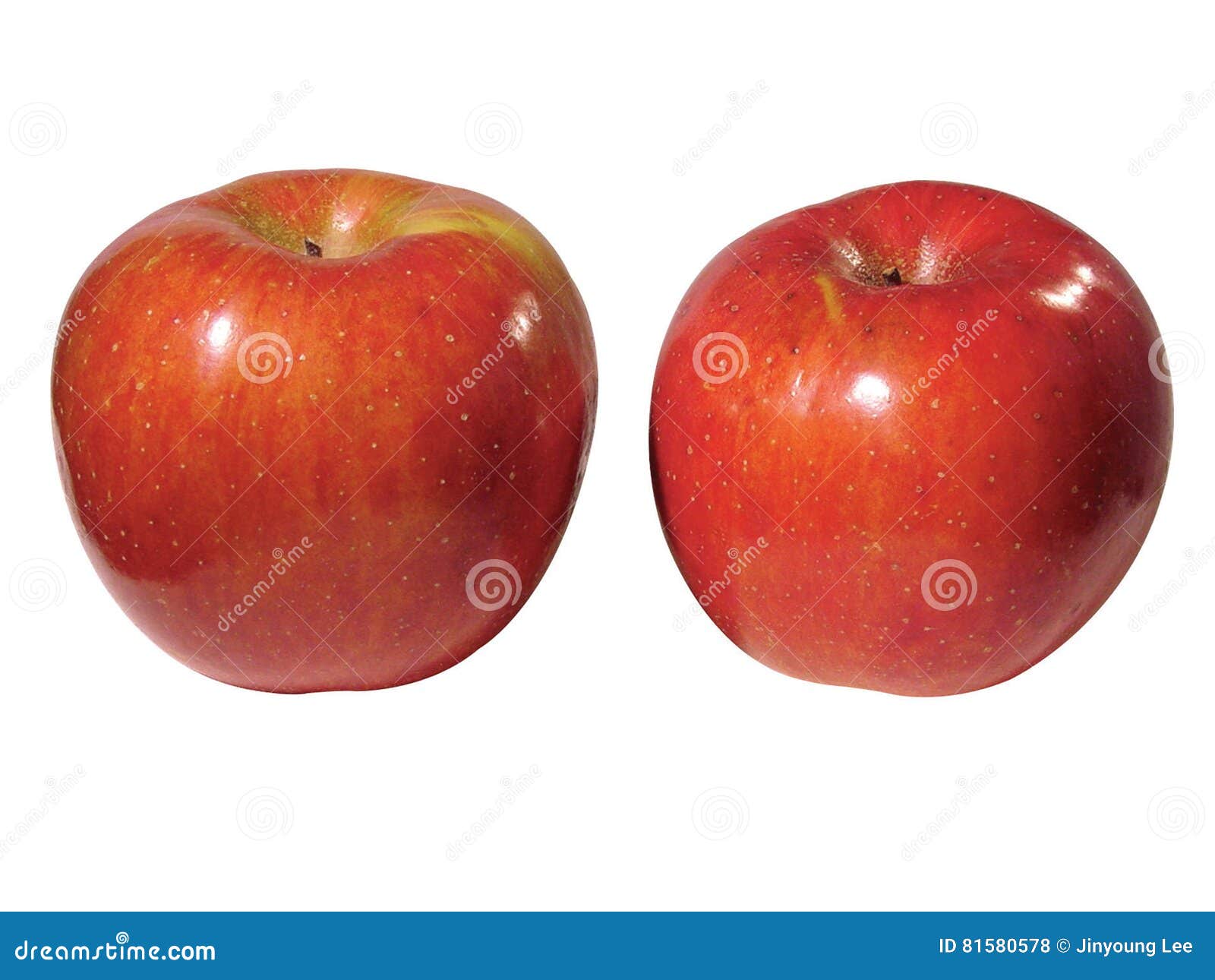 Food stock photo. Image of food, prepackaged, apple, fruit - 81580578