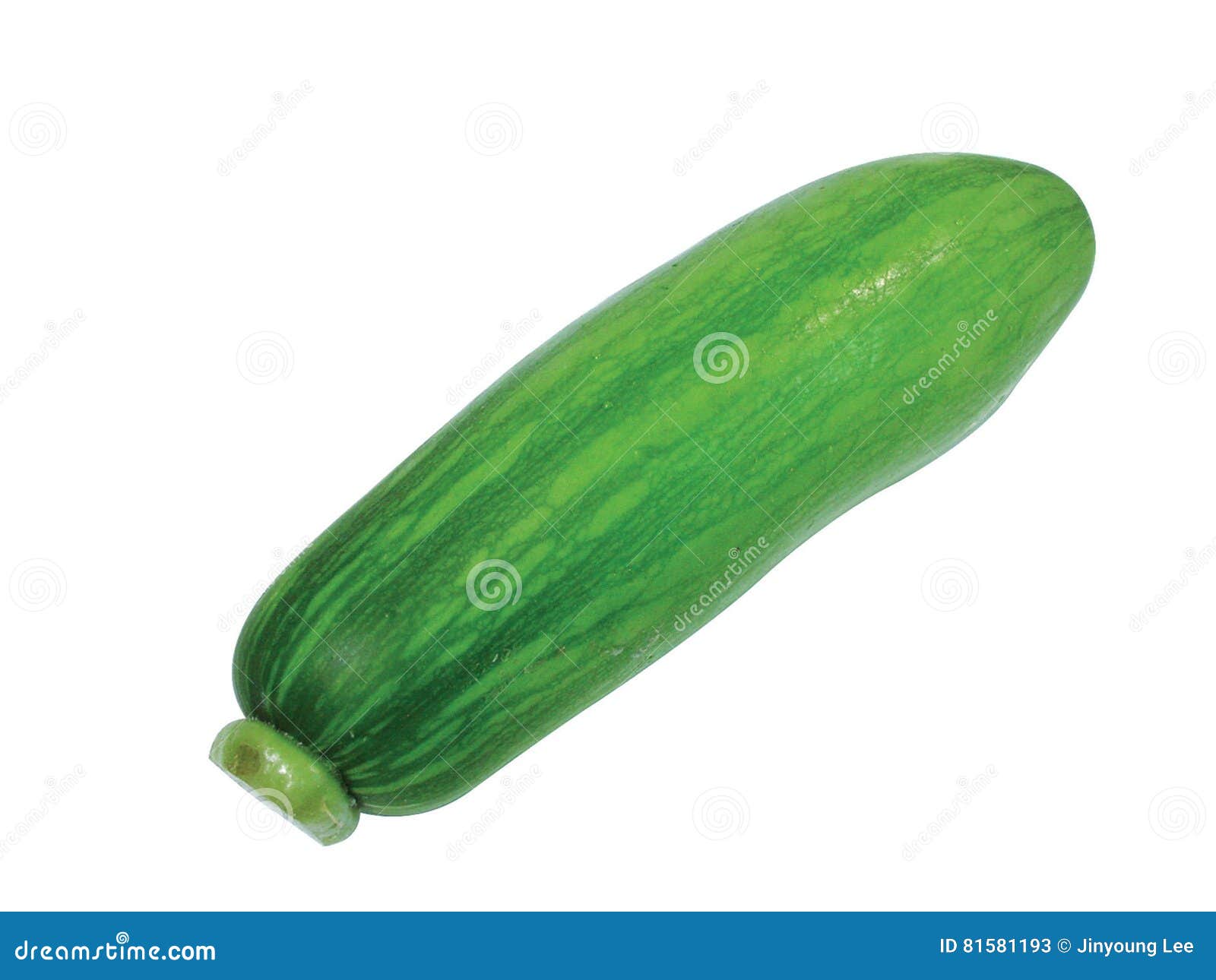 Food stock image. Image of vegetable, material, squash - 81581193