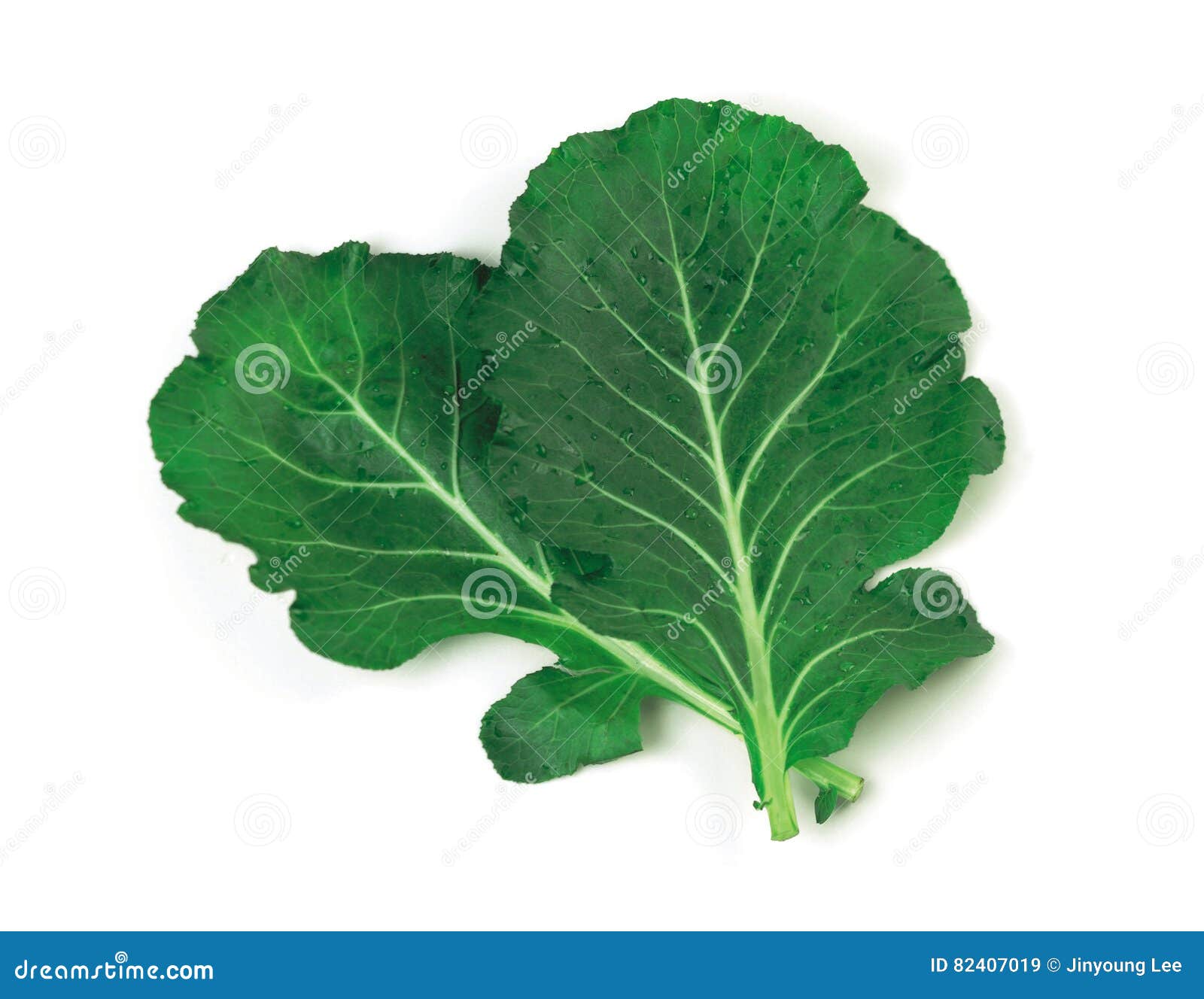 Food stock image. Image of vegetable, kale, objects, prepackaged - 82407019