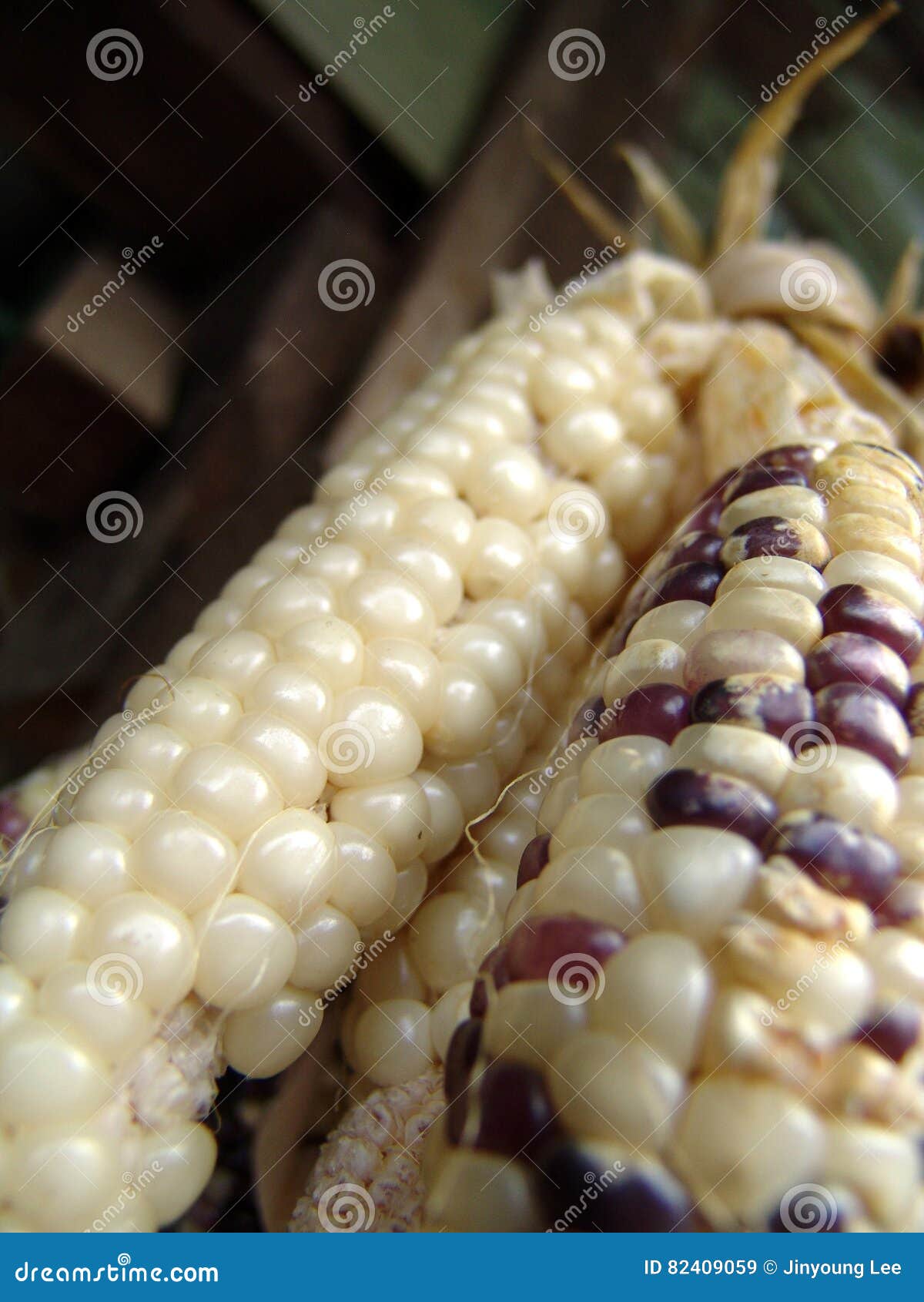 Food stock image. Image of corn, dirt, prepackaged, crop - 82409059