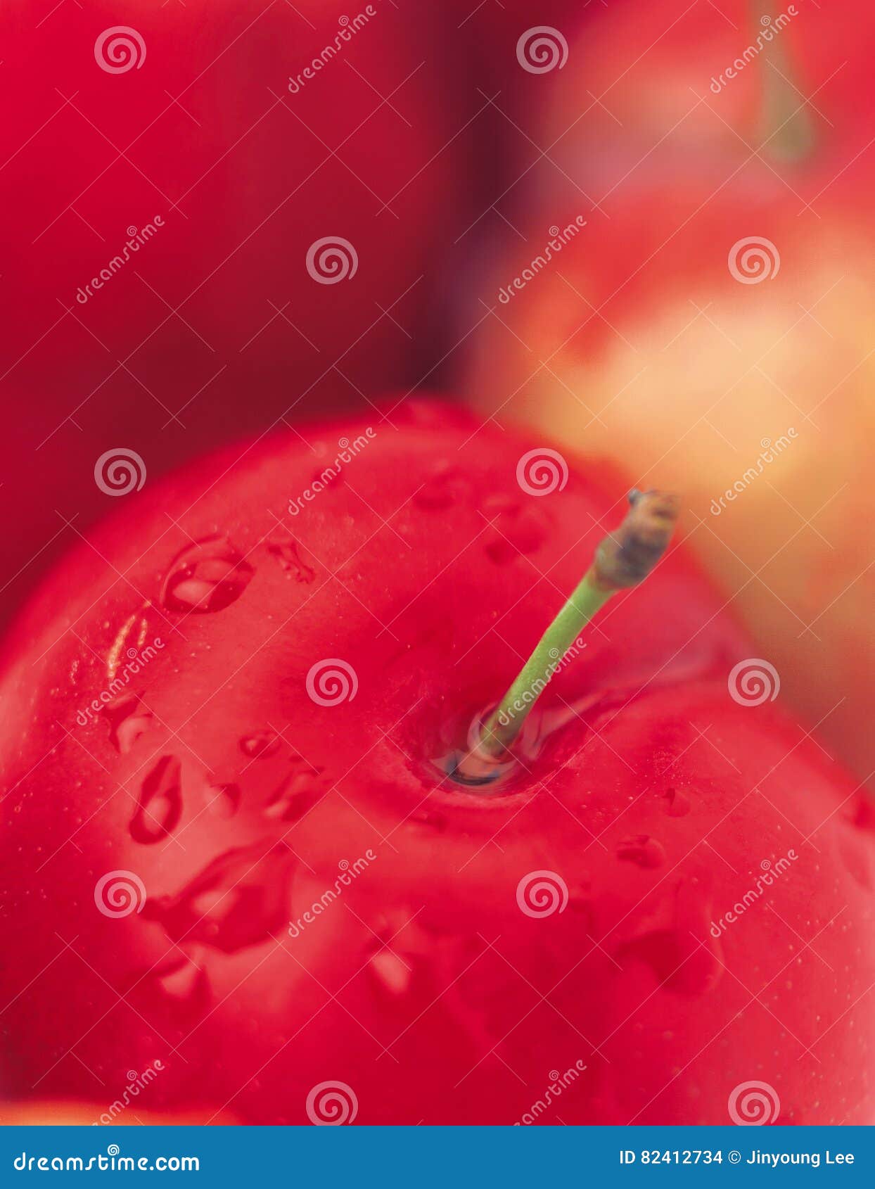 Food stock photo. Image of indoors, drop, produce, prepackaged - 82412734