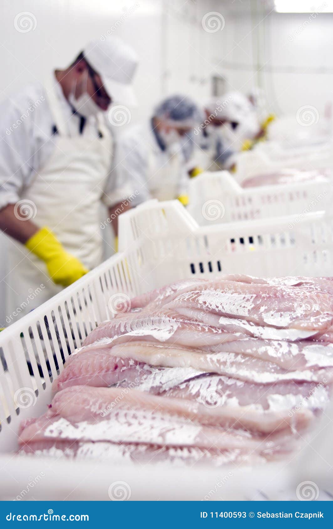 Food processing line stock image. Image of labourers - 11400593