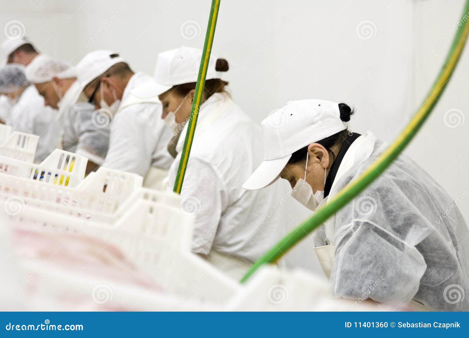 Food processing line stock photo. Image of process, work - 11401360