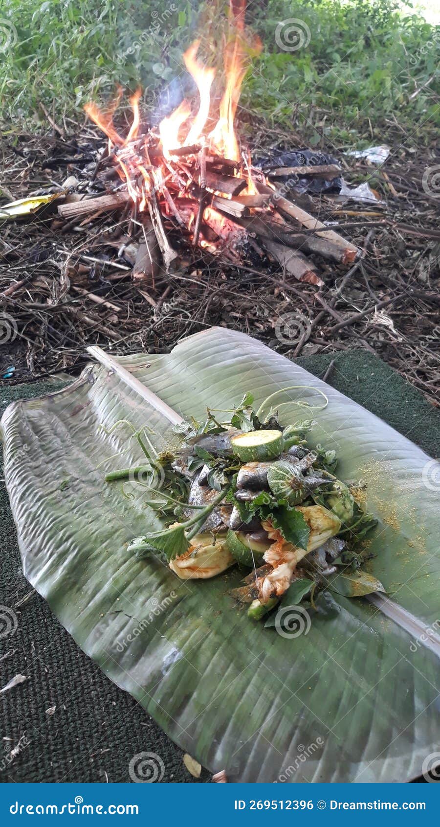Food Provided by Nature for Survival in the Forest Stock Photo - Image ...