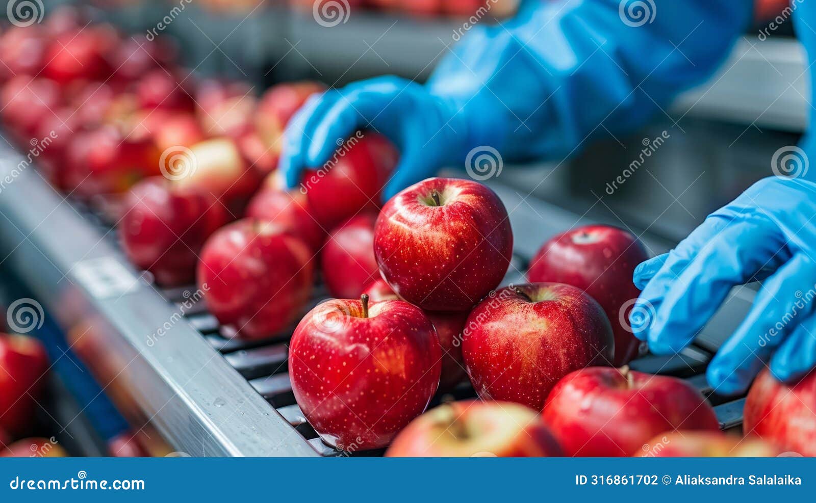 Food Quality Assurance, Ensuring Apple Safety and Standards through ...