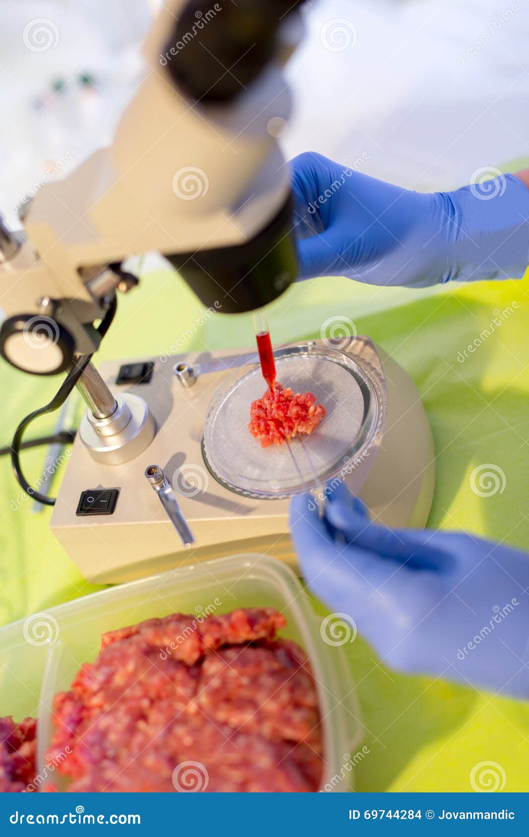 Food Quality Control Expert Inspecting at Meat Specimen Stock Photo ...