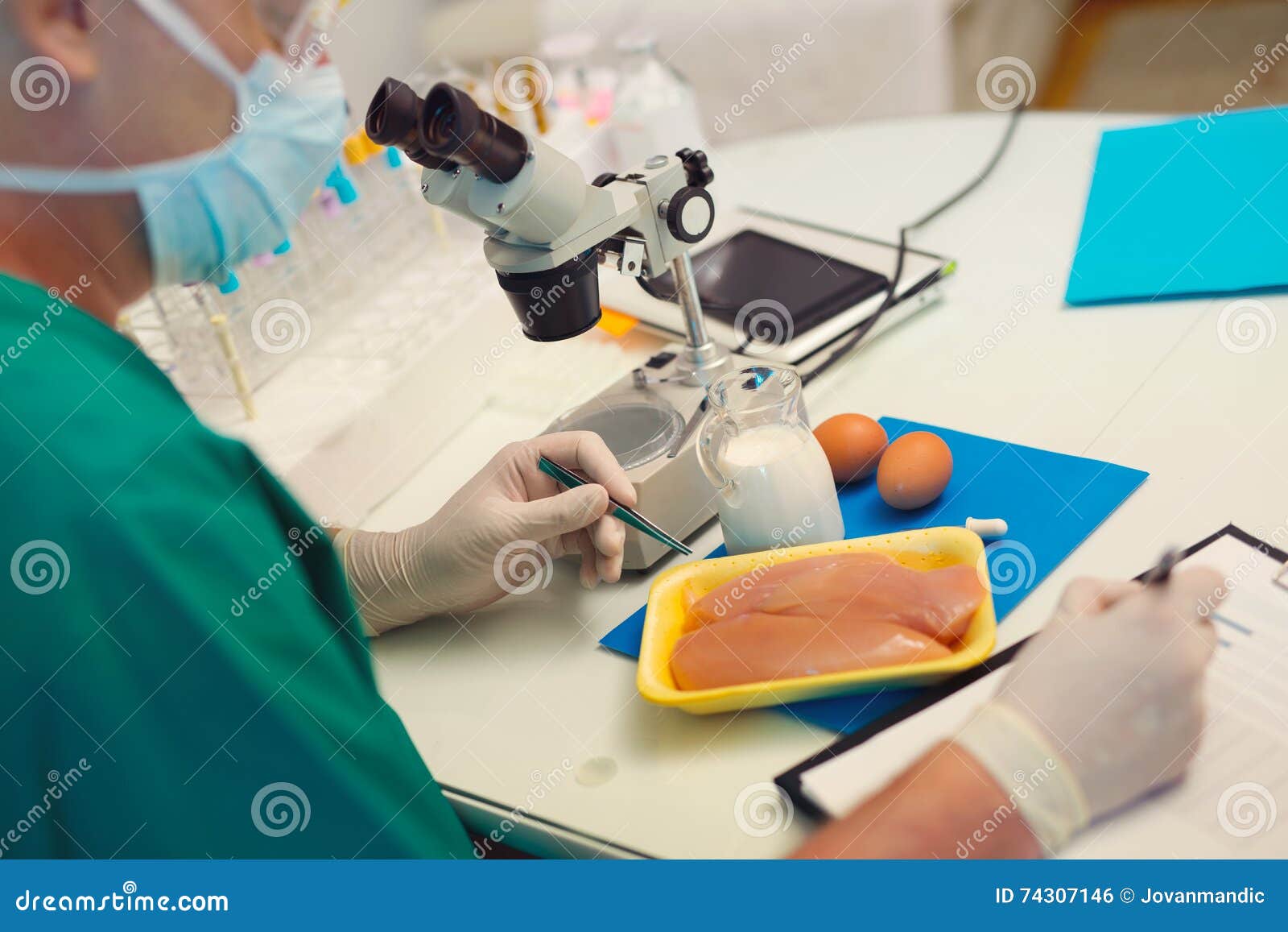 Food Quality Control Expert Inspecting at Meat Specimen Stock Photo ...
