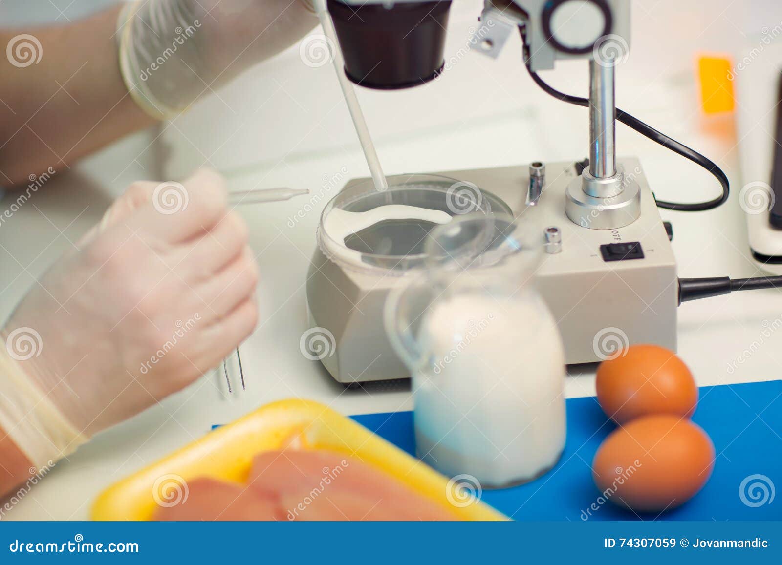 Food Quality Control Expert Inspecting at Milk Specimen in the ...