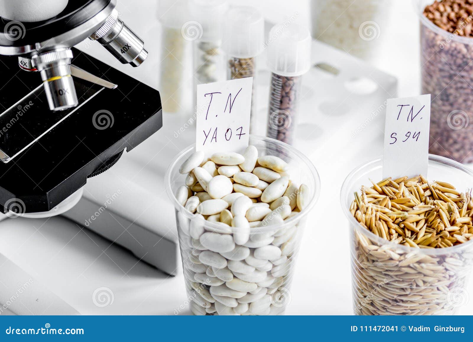 Food Quality Control in Laboratory No One Stock Image - Image of ...