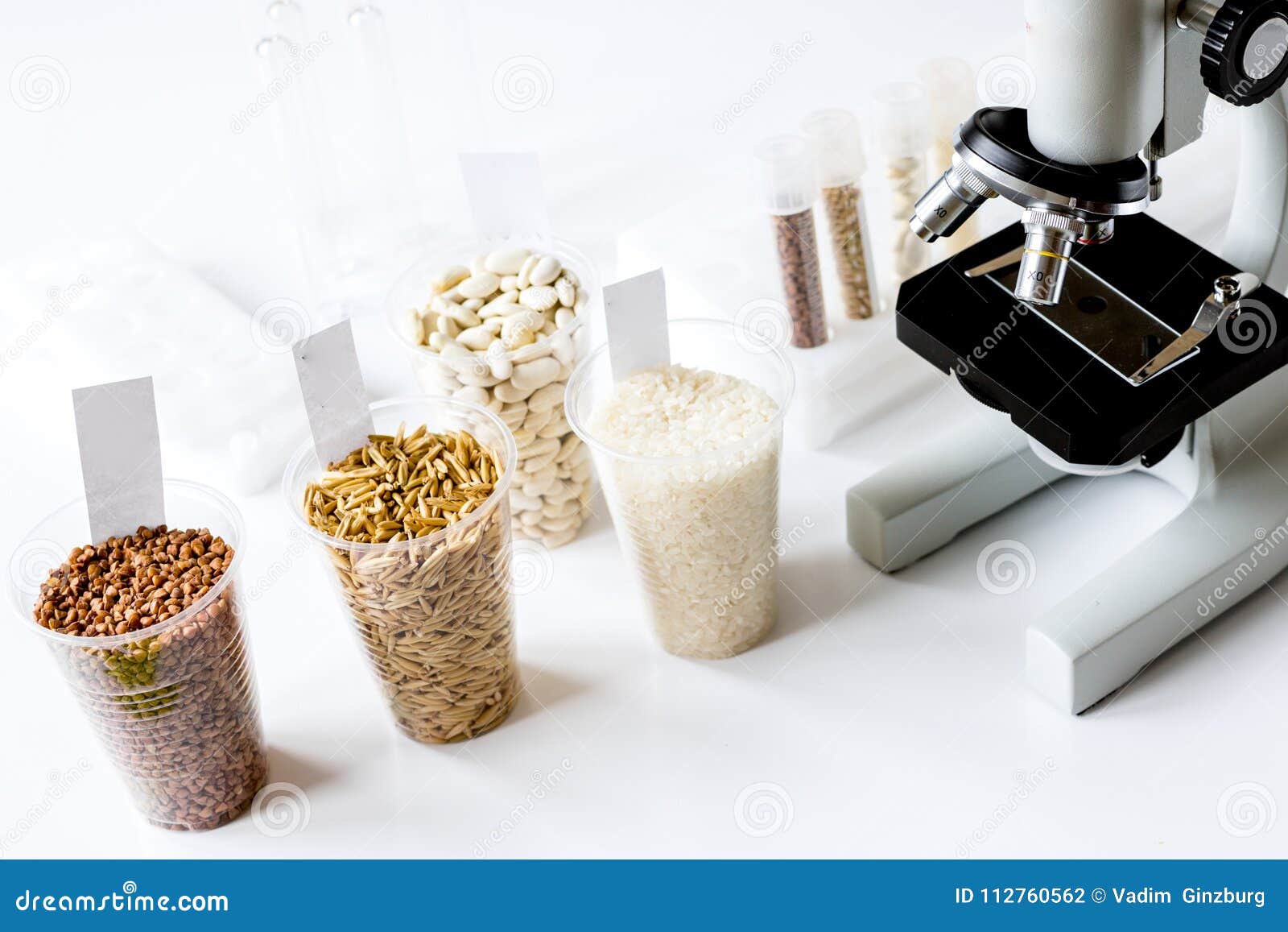 Food Quality Control in Laboratory No One Stock Photo - Image of ...
