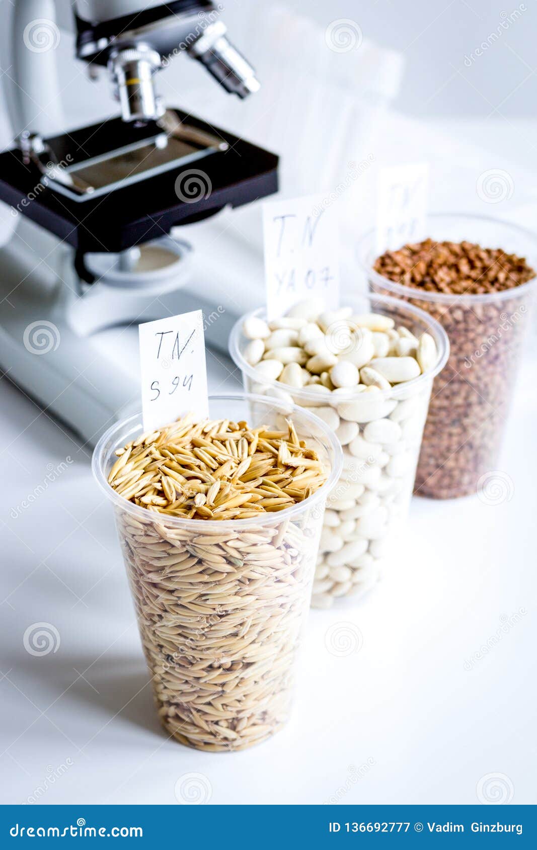 Food Quality Control in Laboratory No One Stock Image - Image of ...