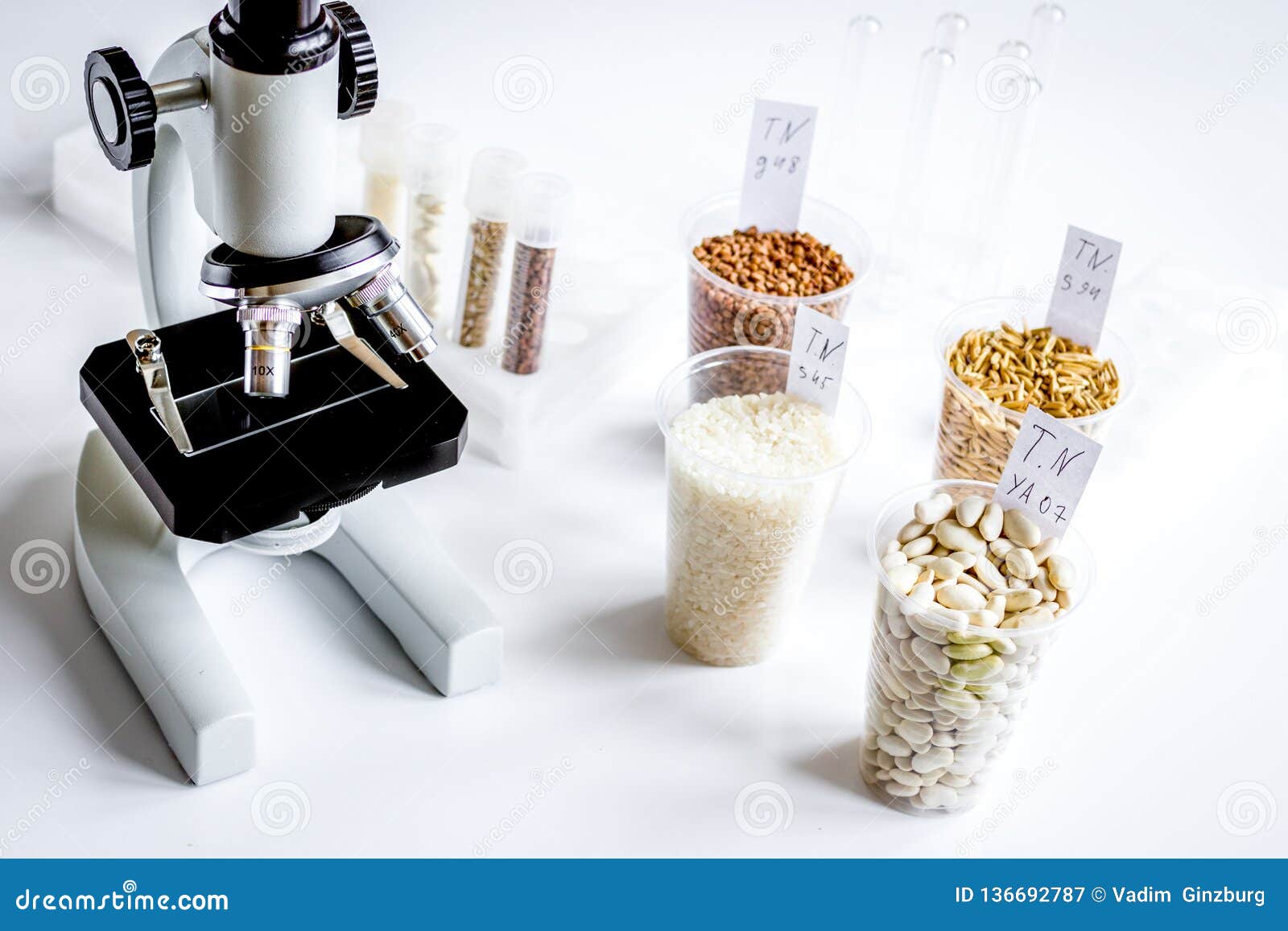 Food Quality Control in Laboratory No One Stock Image - Image of ...