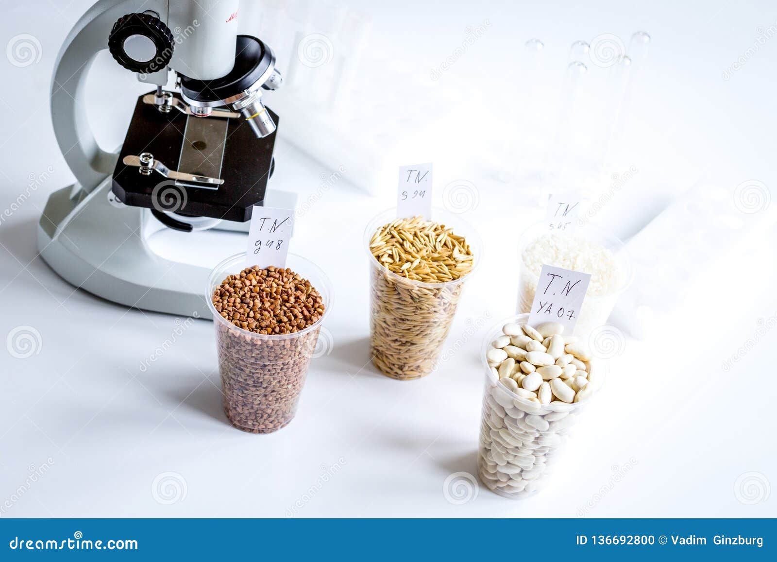 Food Quality Control in Laboratory No One Stock Photo - Image of ...