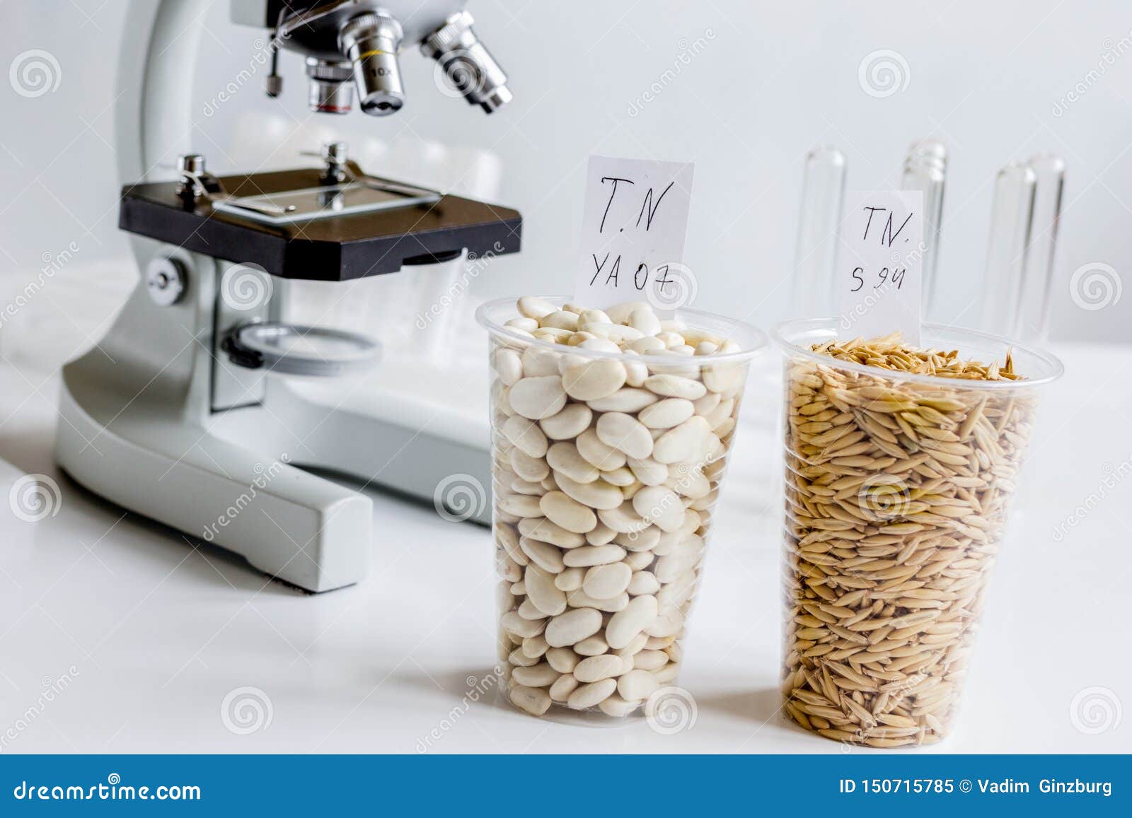 Food Quality Control in Laboratory No One Stock Image - Image of ...