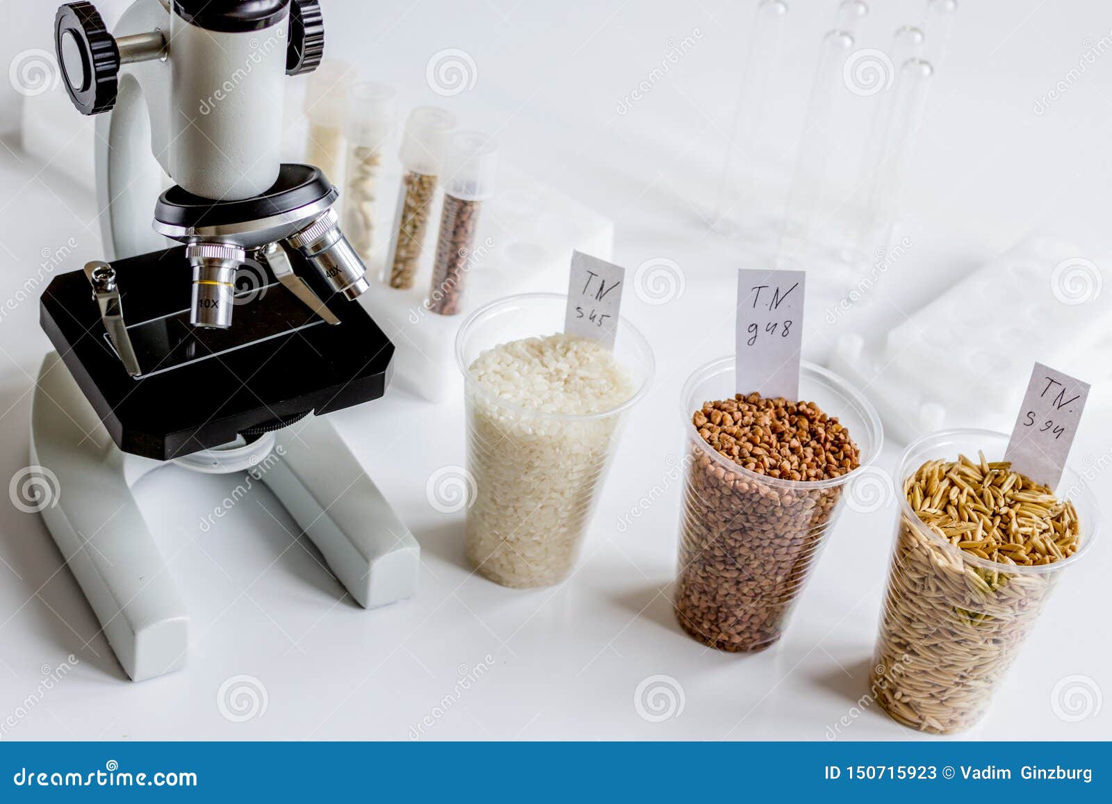 Food Quality Control in Laboratory No One Stock Image - Image of vials ...