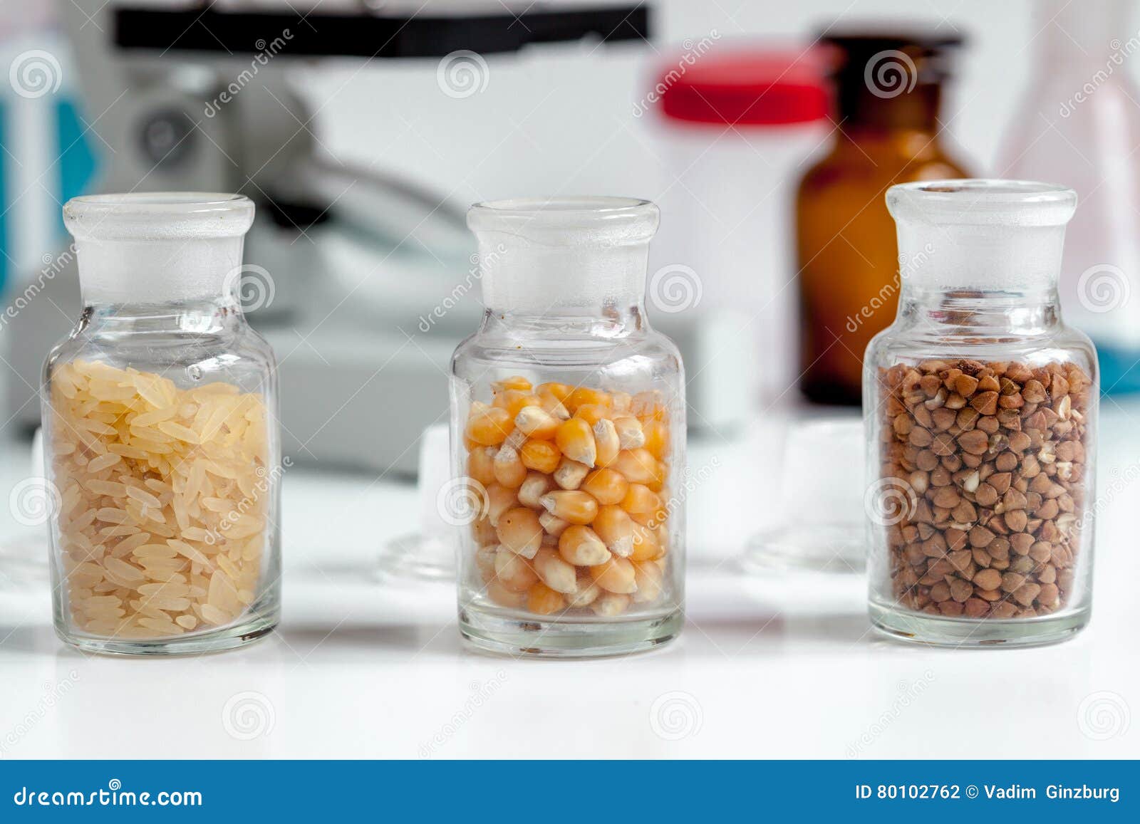 Food Quality Control in Laboratory No One Stock Photo - Image of ...