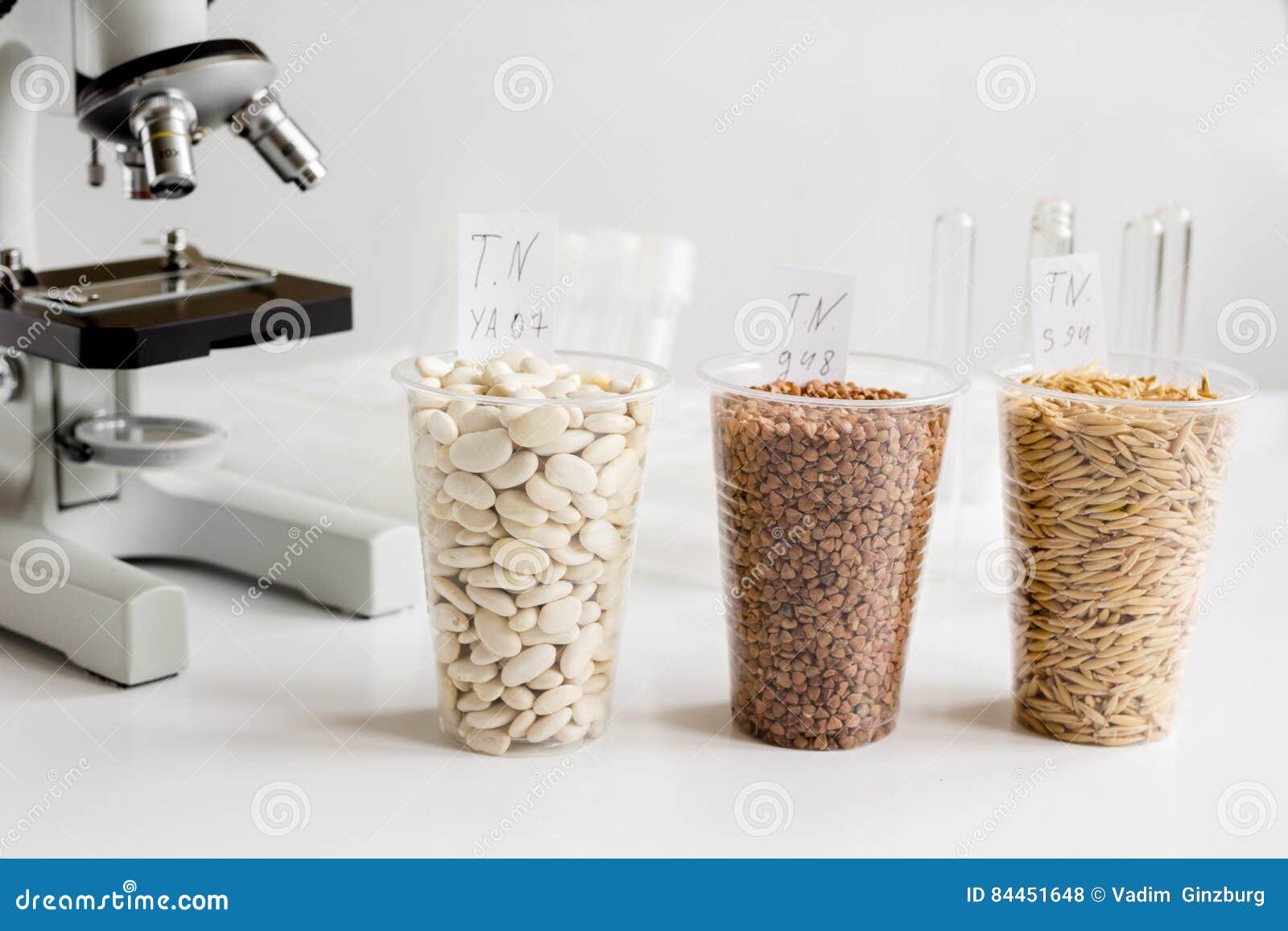 Food Quality Control in Laboratory No One Stock Photo - Image of ...