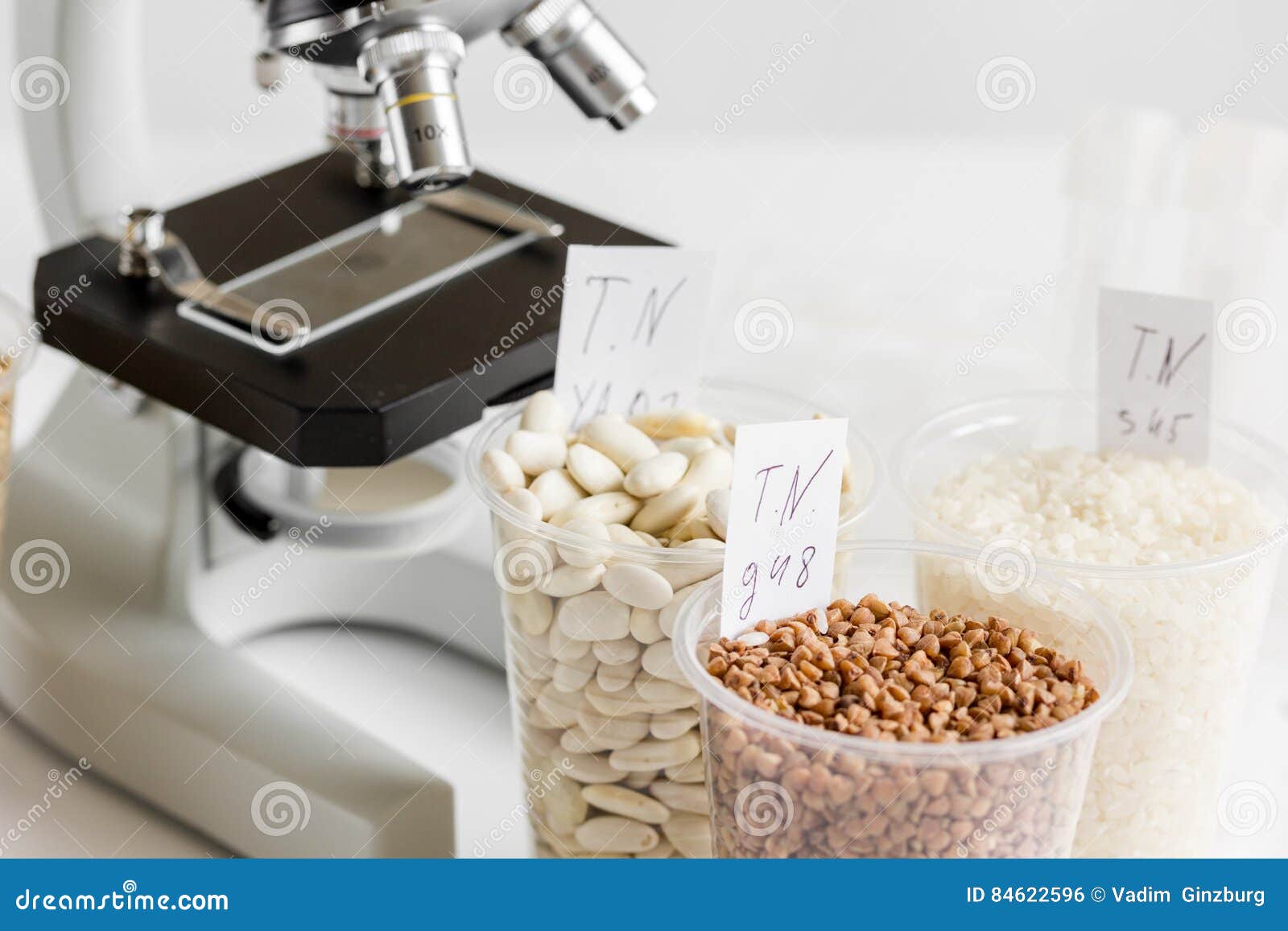 Food Quality Control in Laboratory No One Stock Photo - Image of ...