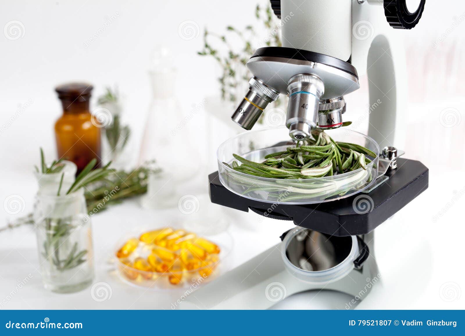 Food Quality Control in the Laboratory Rosemary Stock Image - Image of ...