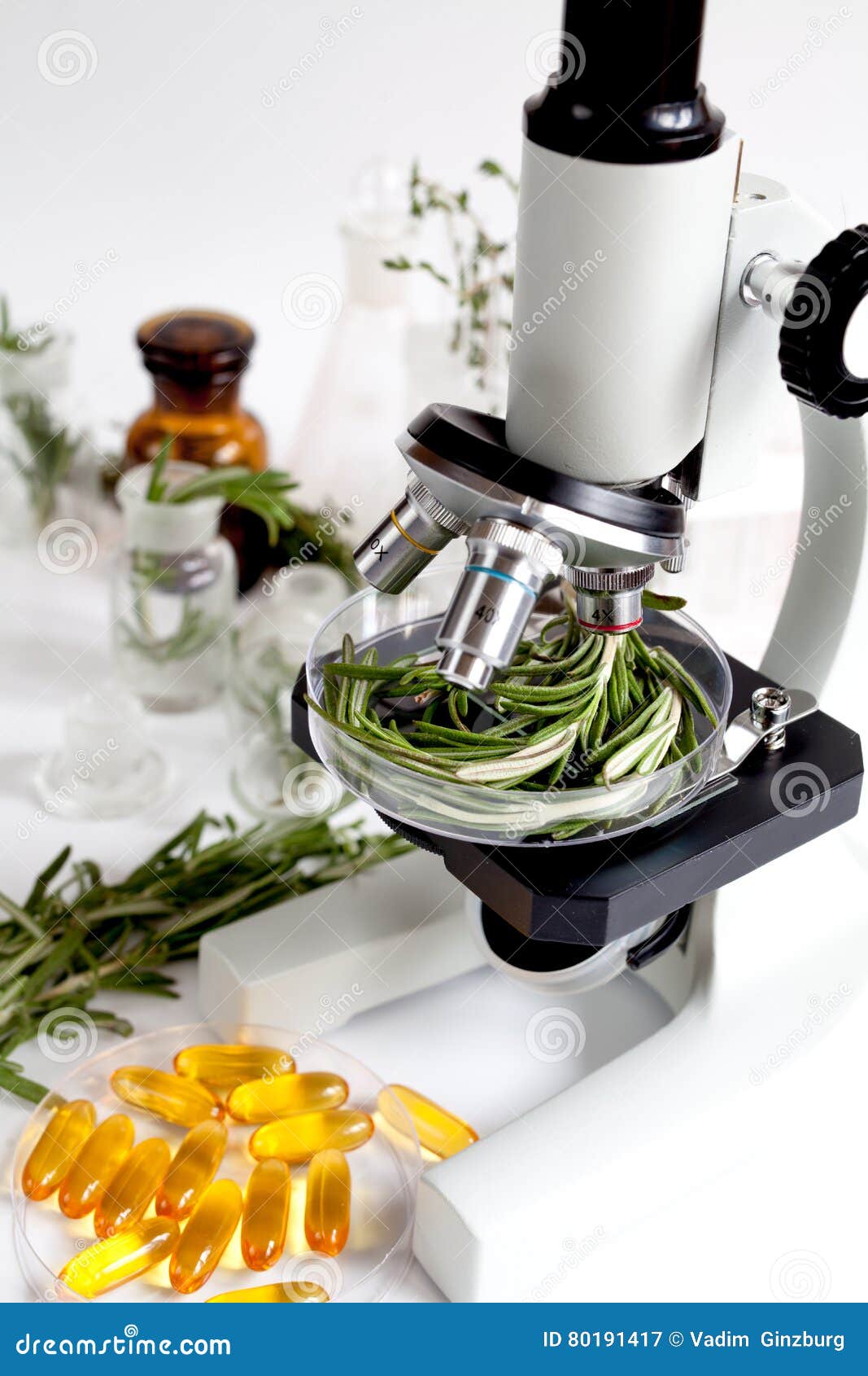 Food Quality Control in the Laboratory Rosemary Stock Image - Image of ...