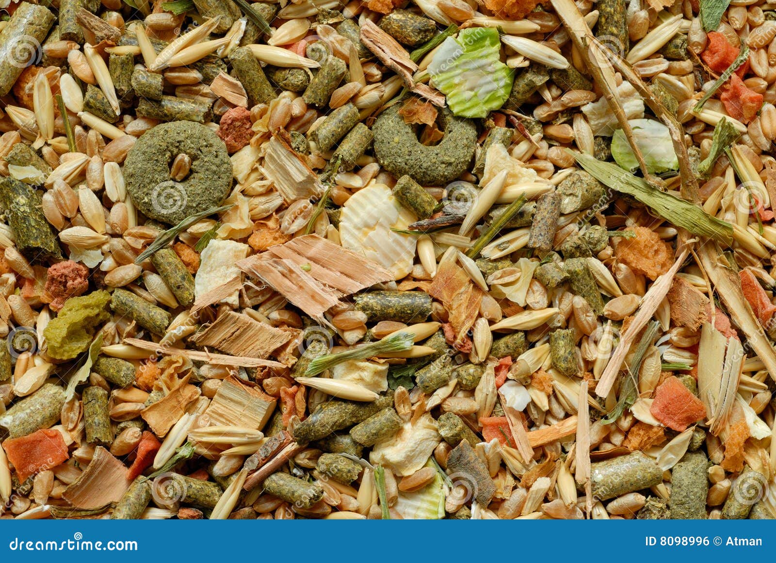 Food for Rodents stock photo. Image of rats, eating, food - 8098996