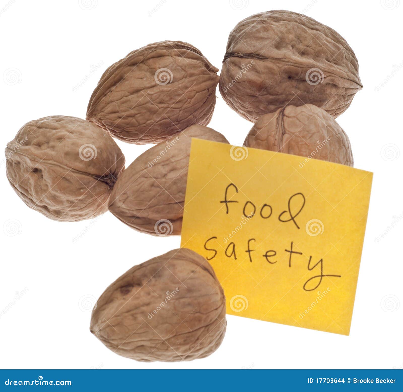 Food Safety stock photo. Image of colorful, shell, still - 17703644