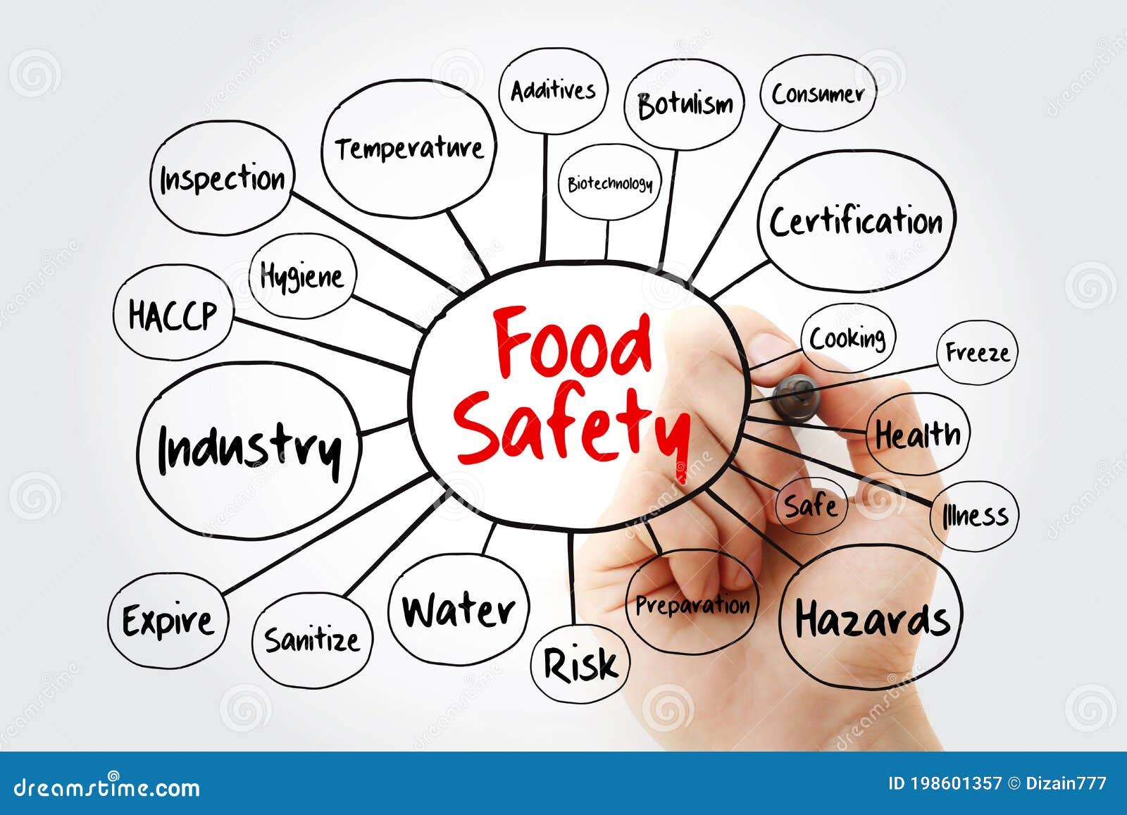Food Safety Mind Map Flowchart with Marker, Concept for Presentations ...