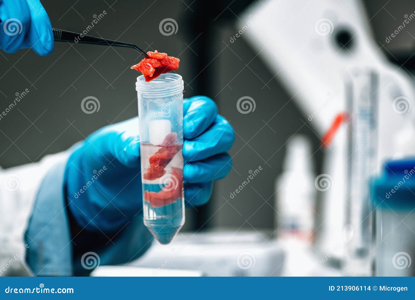 Food Safety and Quality Control - Testing Red Meat Stock Photo - Image ...