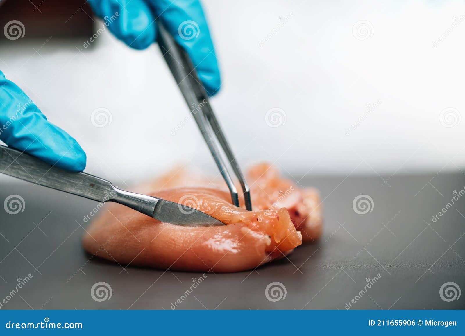 Food Safety and Quality Control - Testing Poultry Meat Stock Photo ...