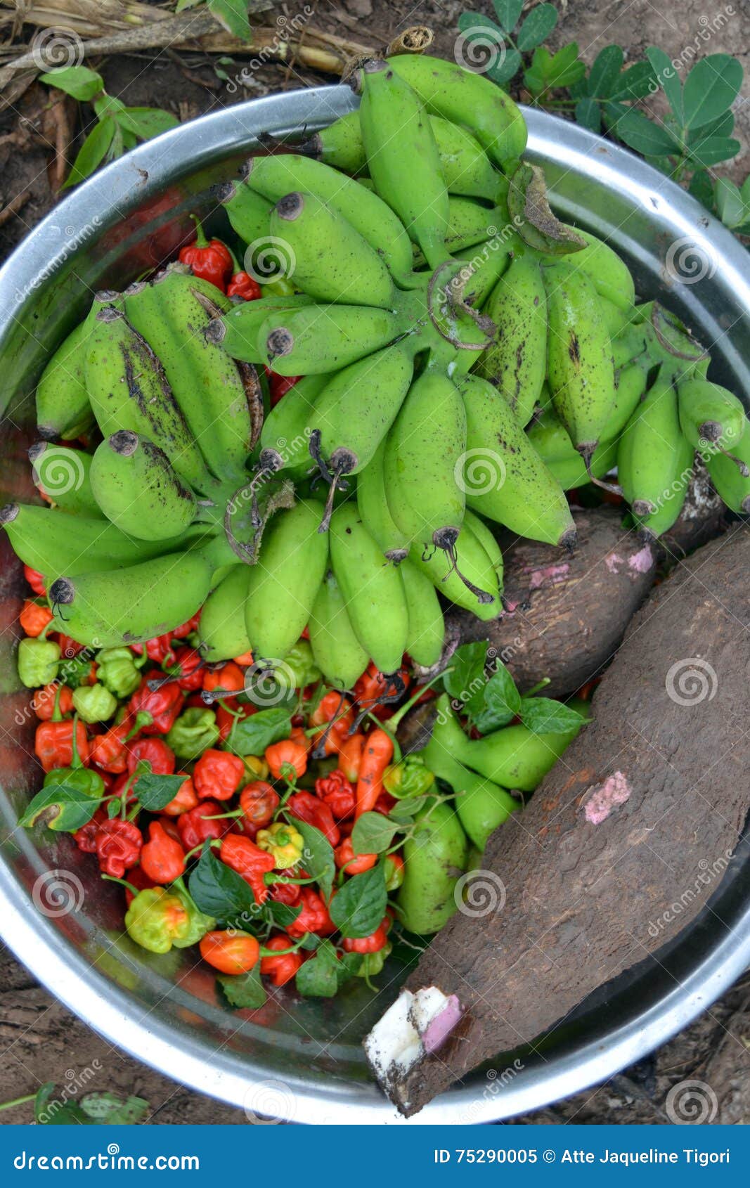 FOOD SAMPLE stock image. Image of ingredients, food, fruit - 75290005