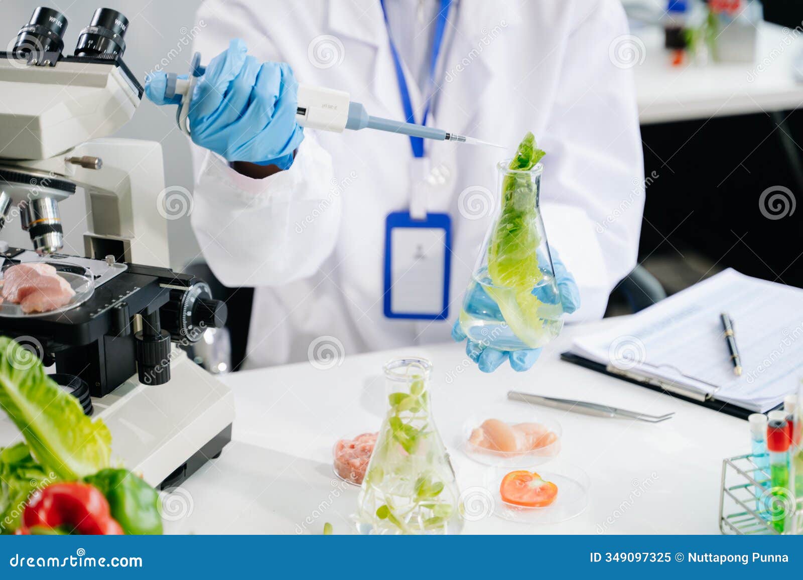 Food Science As Lab Scientists Test and Analyze Vegetables for Safety ...