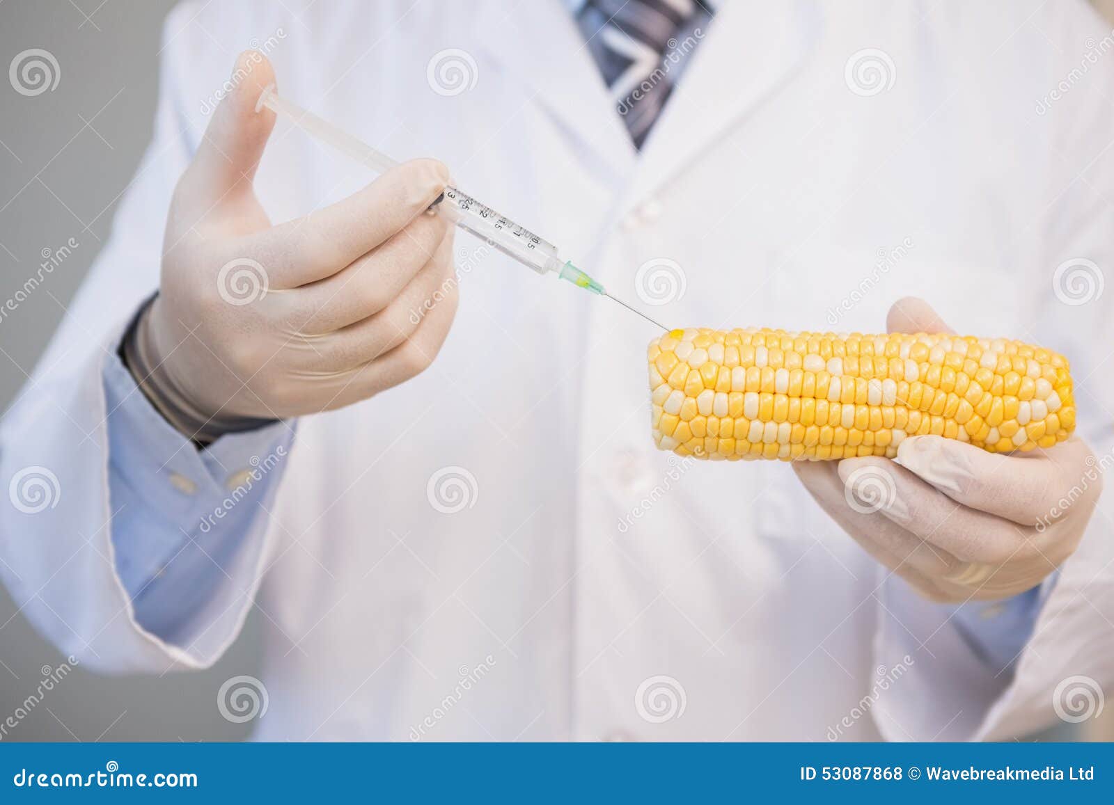 Food Scientist Examining Corn Stock Photo - Image of protective ...