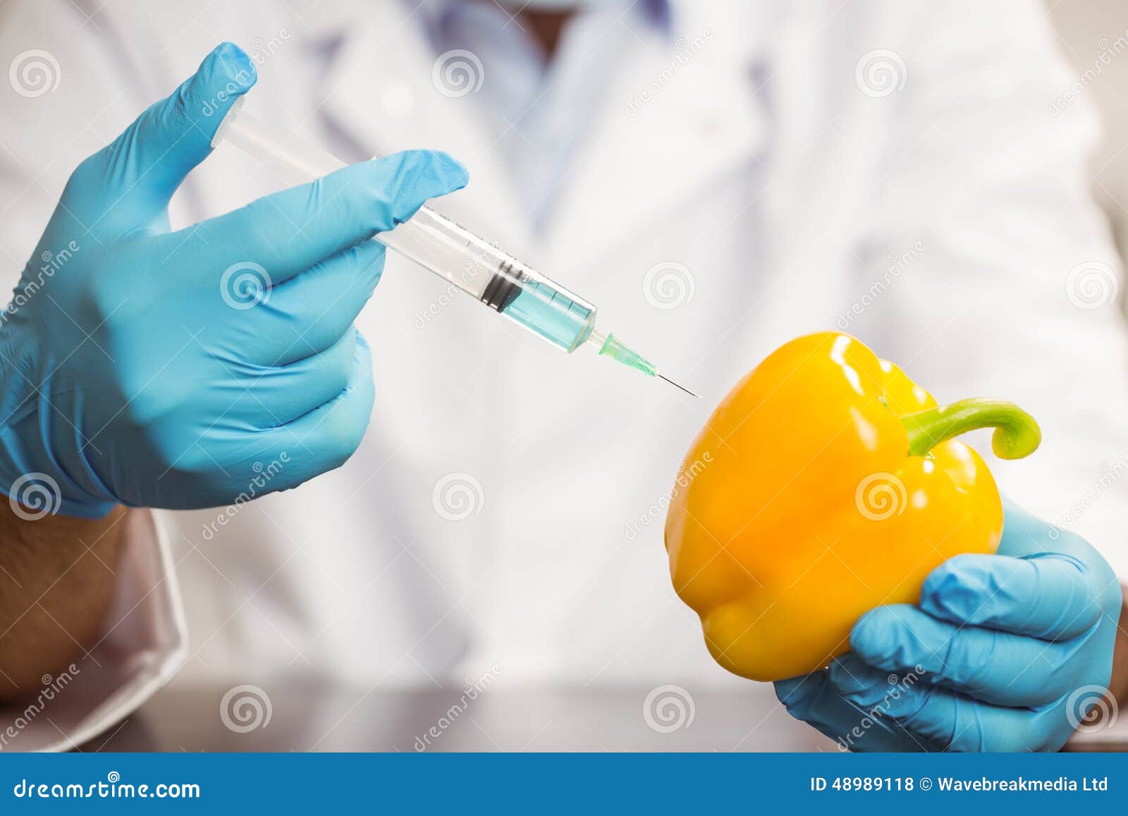 Food Scientist Injecting a Pepper Stock Photo - Image of person ...
