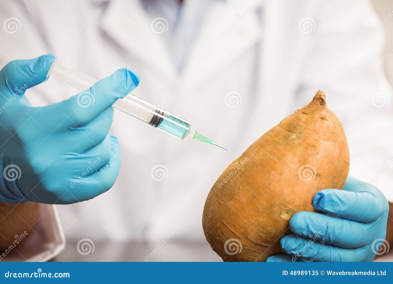 Food Scientist Injecting a Potato Stock Image - Image of school, focus ...