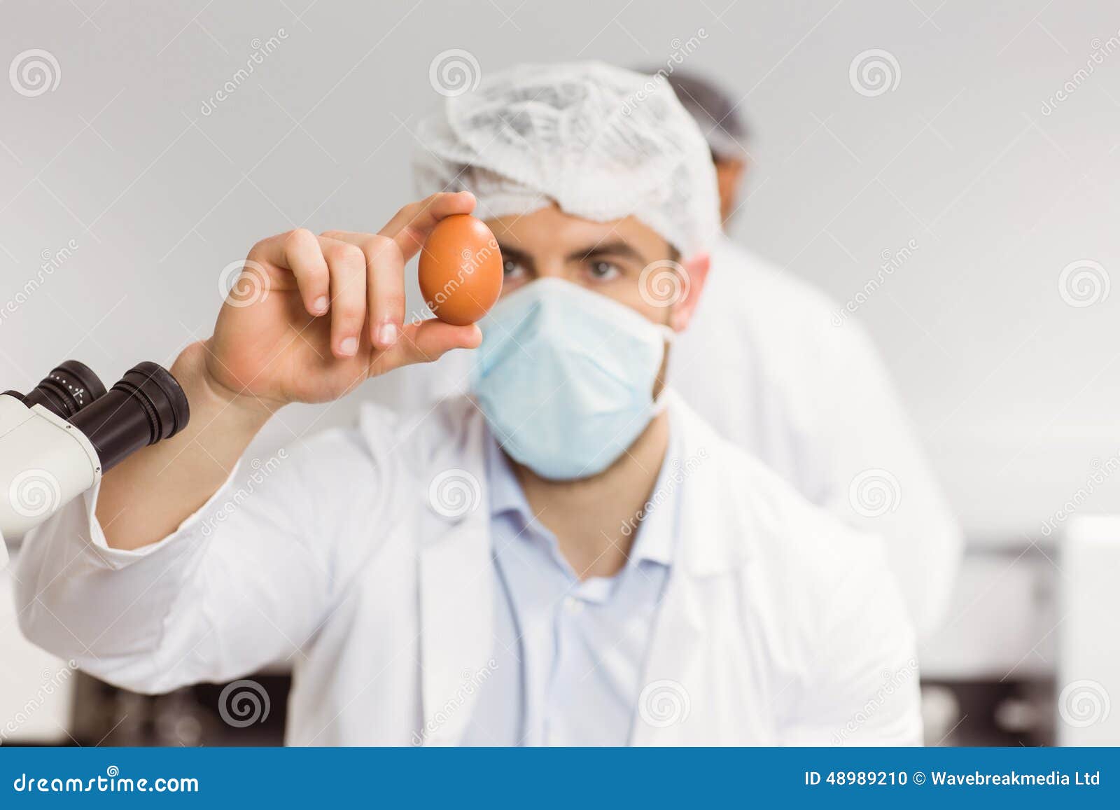 Food Scientist Looking at an Egg Stock Photo - Image of biology ...