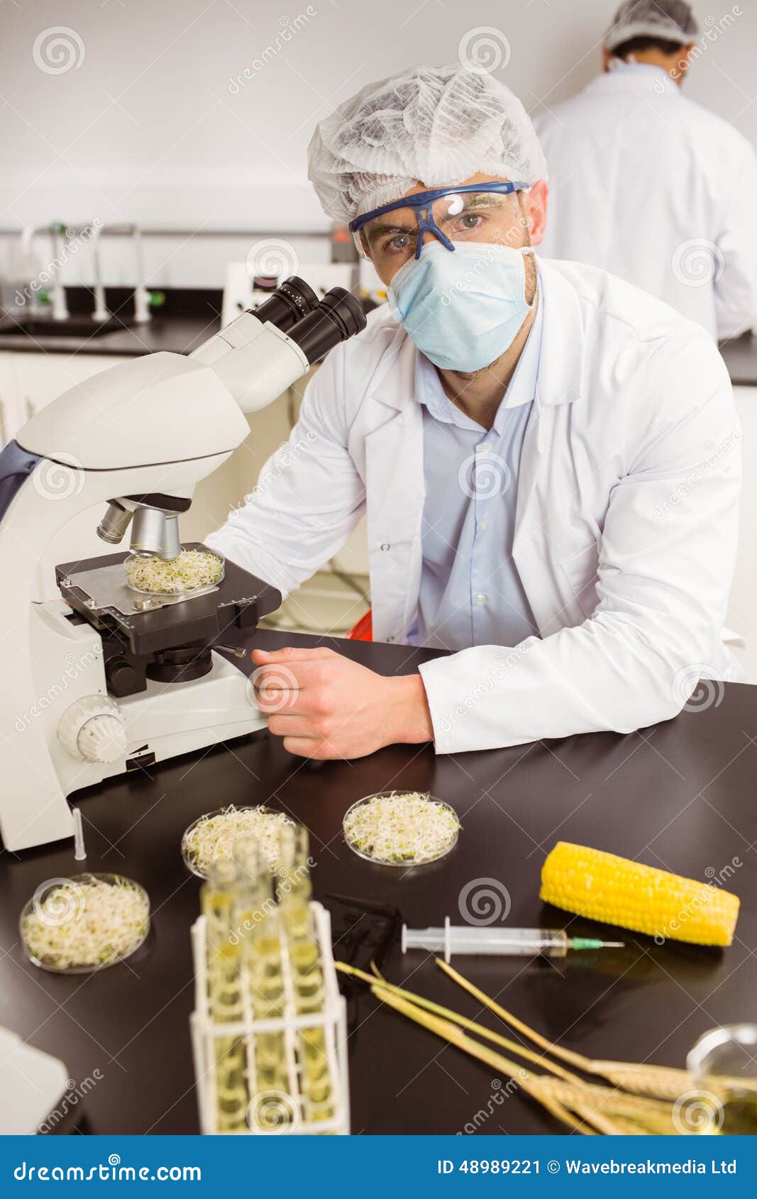 Food Scientist Looking at Petri Dish Under Microscope Stock Image ...