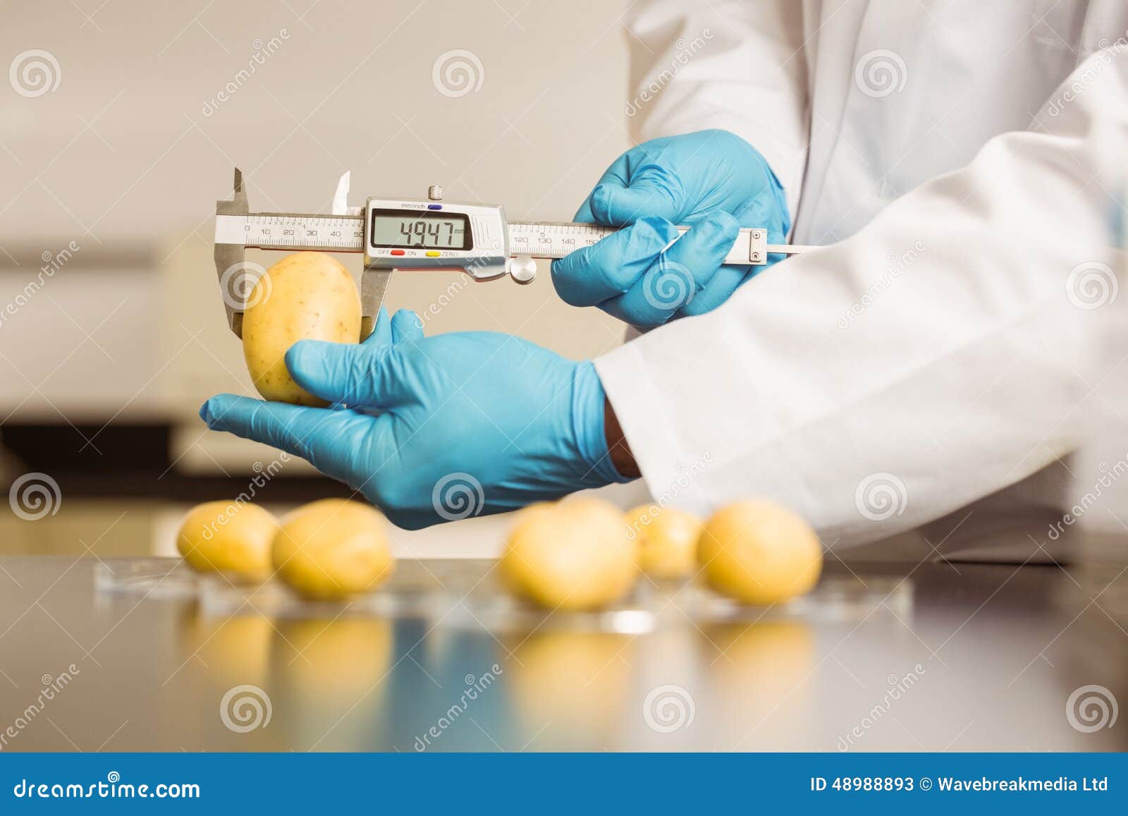 Food Scientist Measuring a Potato Stock Image - Image of academic ...
