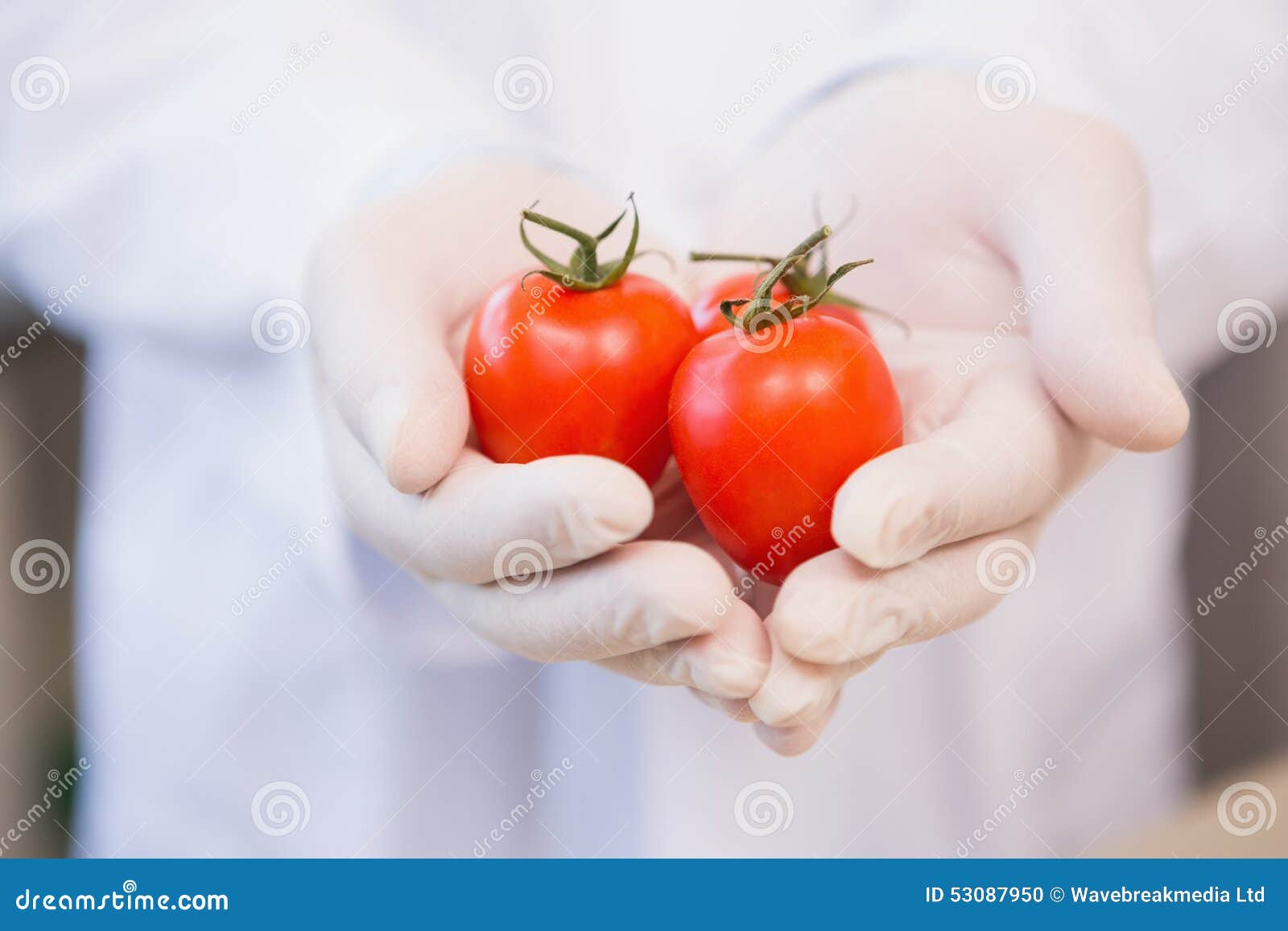 Food Scientist Showing Tomatoes Stock Photo - Image of gloves, food ...