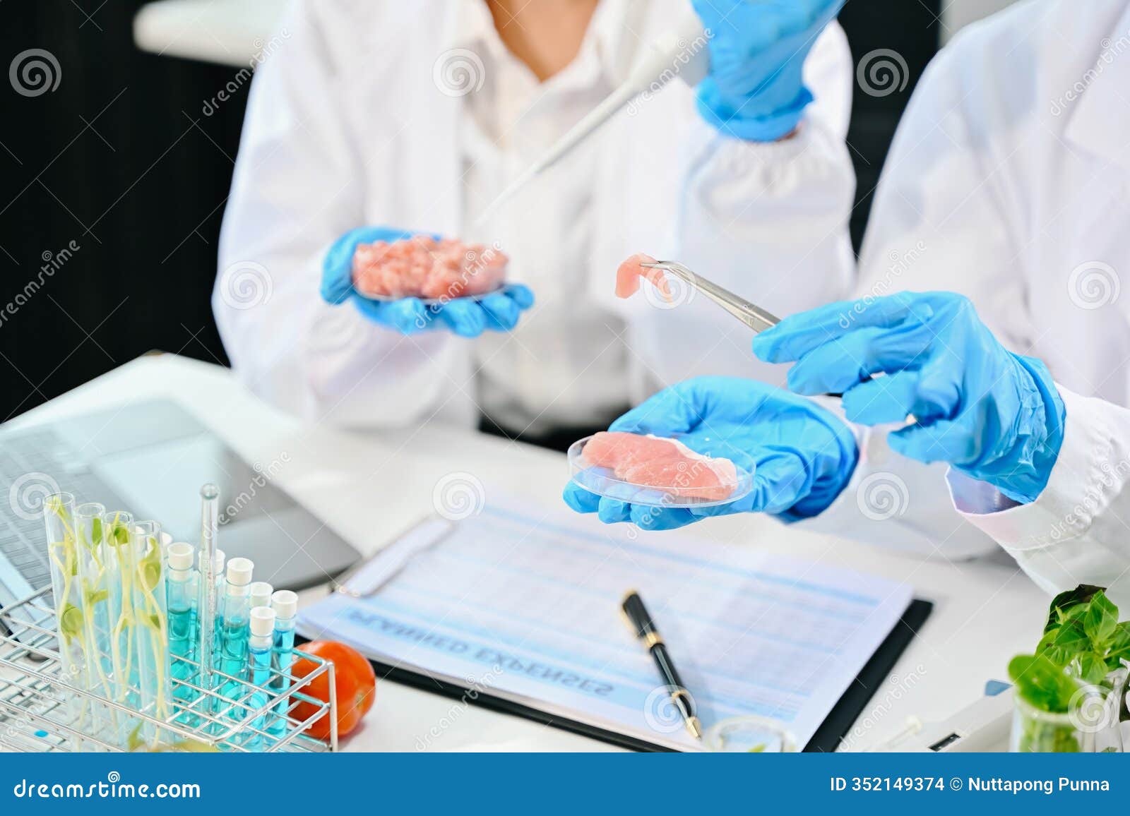 Food Scientists in Lab Coats, Testing Samples, and Analyzing Food ...