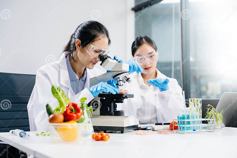 Food Scientists in Lab Coats, Testing Samples, and Analyzing Food ...